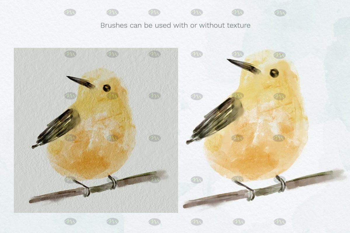 Free download Procreate watercolor brushes with super realistic natural ...