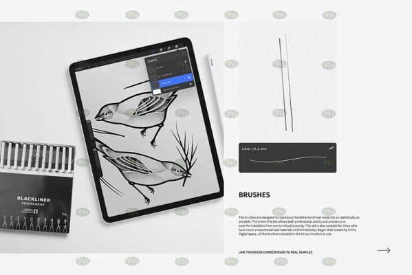 Free Download 16 Professional Outline Brushes Procreate Brushes