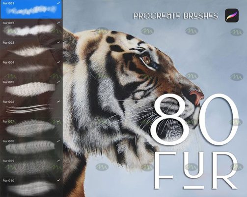 Free download 80 animal fur texture Procreate brushes - Procreate brushes