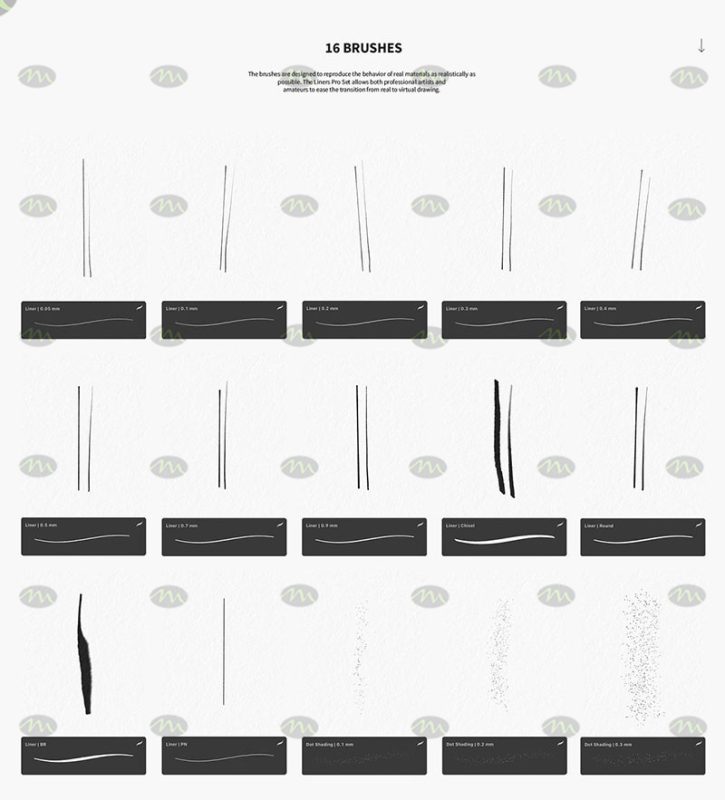 Free Download 16 Professional Outline Brushes Procreate Brushes