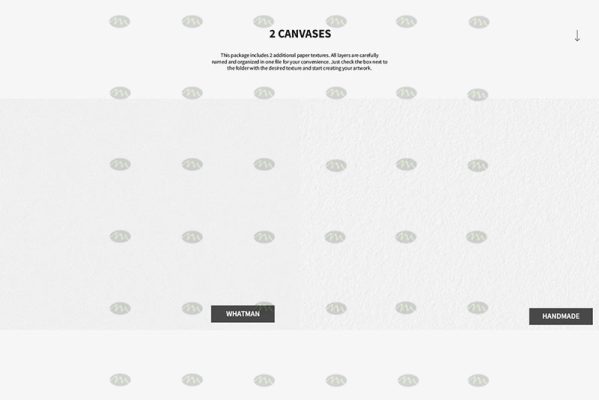 Free Download 16 Professional Outline Brushes Procreate Brushes