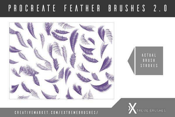 8 Procreate Feather Brushes Free download - Procreate brushes