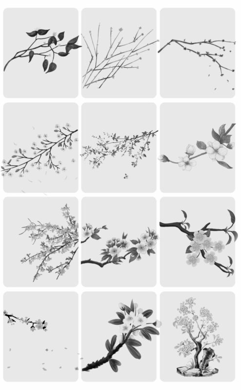 Procreate brushes Photoshop hand-painted aesthetic ancient style ink ...