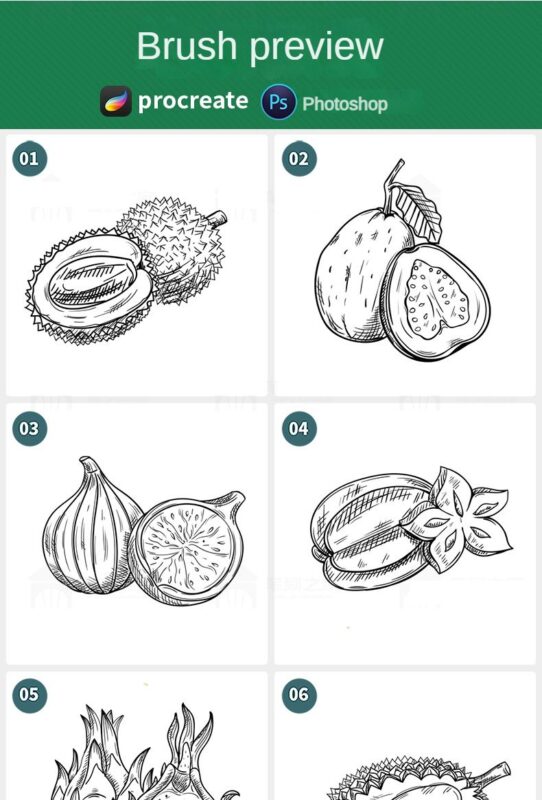 procreate brushes vegetable watercolor line drawing tomato procreate ...