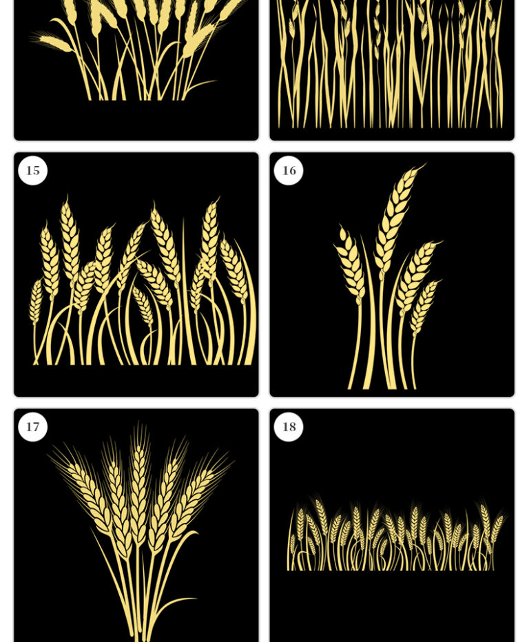 procreate brushes Photoshop brushes rice ears wheat ears emblem wheat field wheat paddy ...