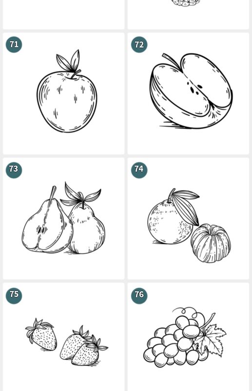 procreate brushes fruit watercolor line drawing copy coloring photoshop ...