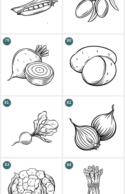 procreate brushes vegetable watercolor line drawing tomato procreate ...