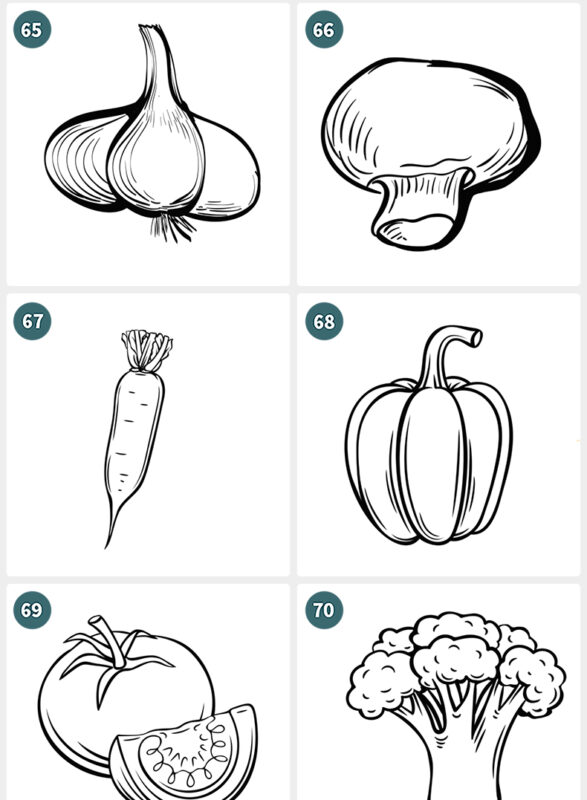 procreate brushes vegetable watercolor line drawing tomato procreate ...
